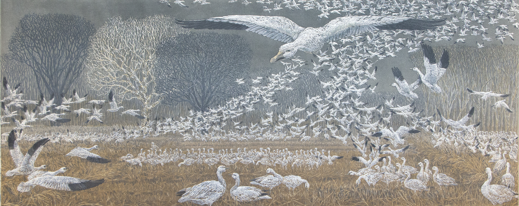 15+ Famous Bird Paintings and Artists Exploring Nature's Beauty